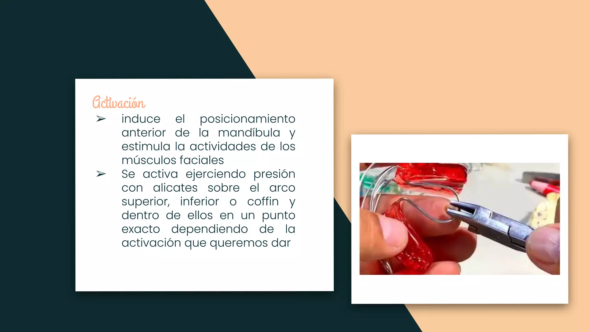 Klammt ortodoncia | PDF