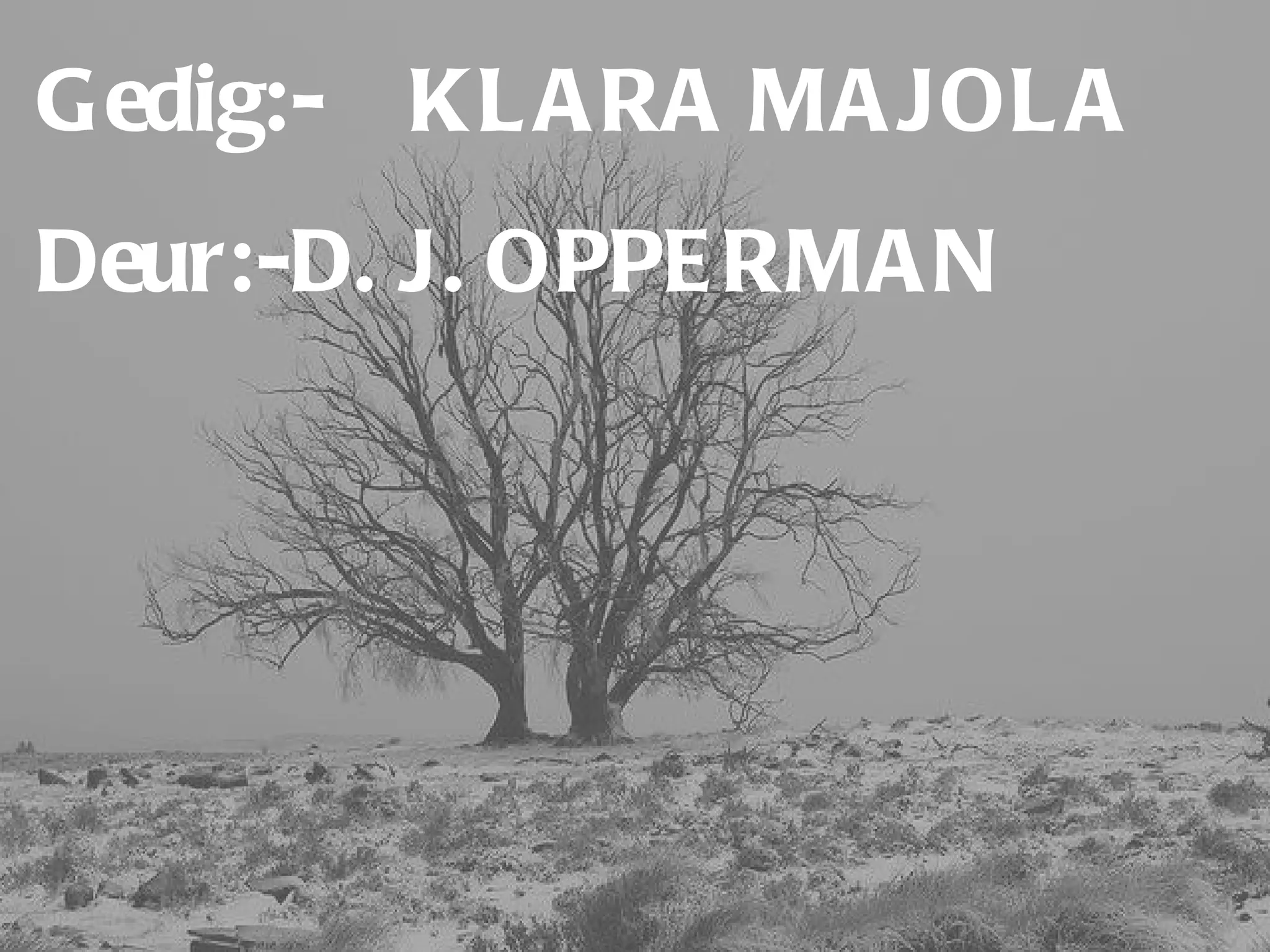 Klara Majola Afrikaans Gedig | PPT