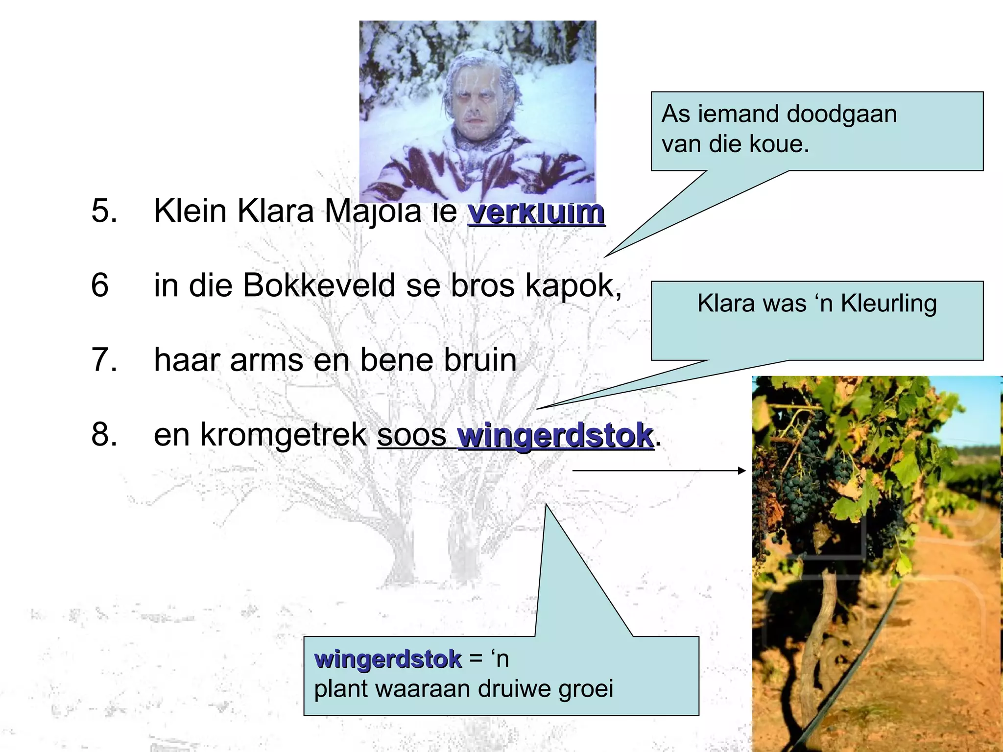 Klara Majola Afrikaans Gedig | PPT