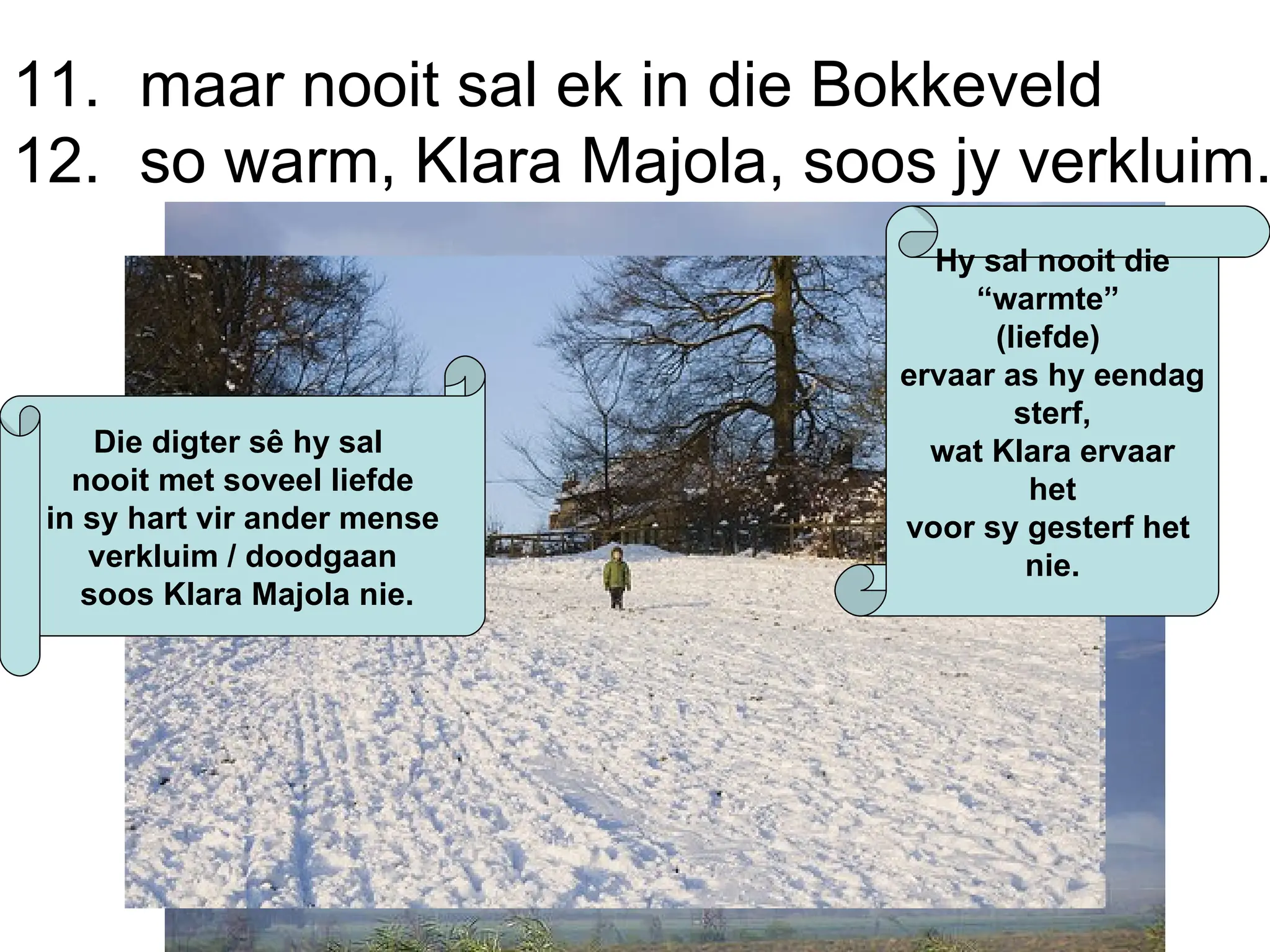Klara Majola gedig, Grade 9 gedig, afrikaans | PDF