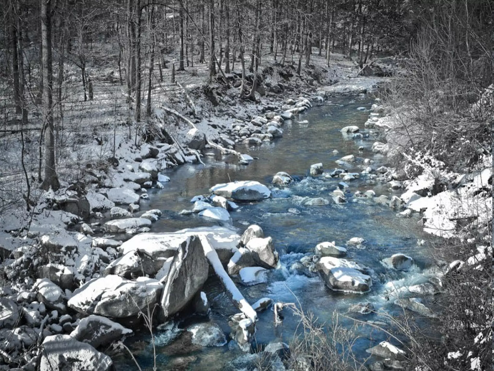 Klara Majola: a Introduction in English | PPT