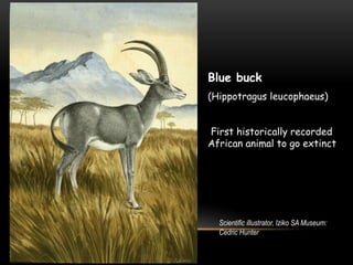 Klasies for Africa day | PPTX