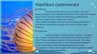 biologi ppt klasiffikasi coelenterata.pptx