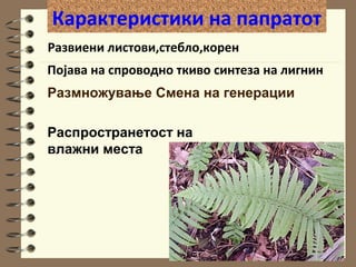 Klasifikacija na rastenija | PPT