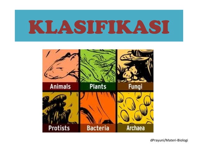 Klasifikasi | PPT
