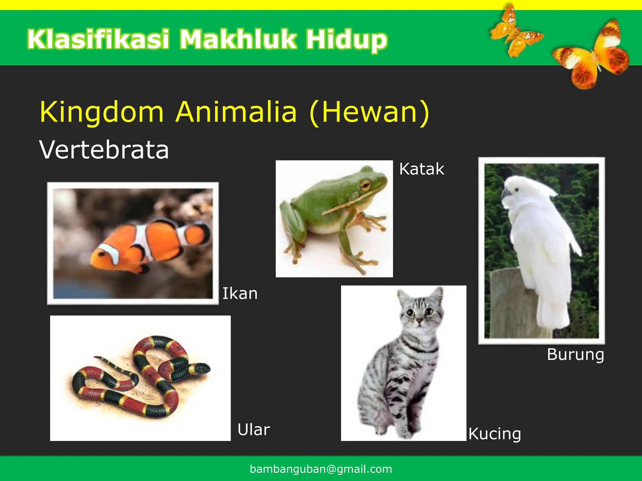 KLASIFIKASI makhluk hidup kelas tujuh.pptx