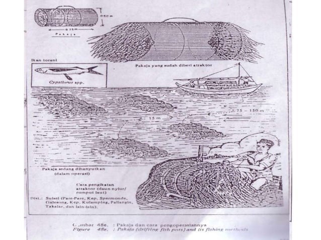 Klasifikasi alat-tangkap