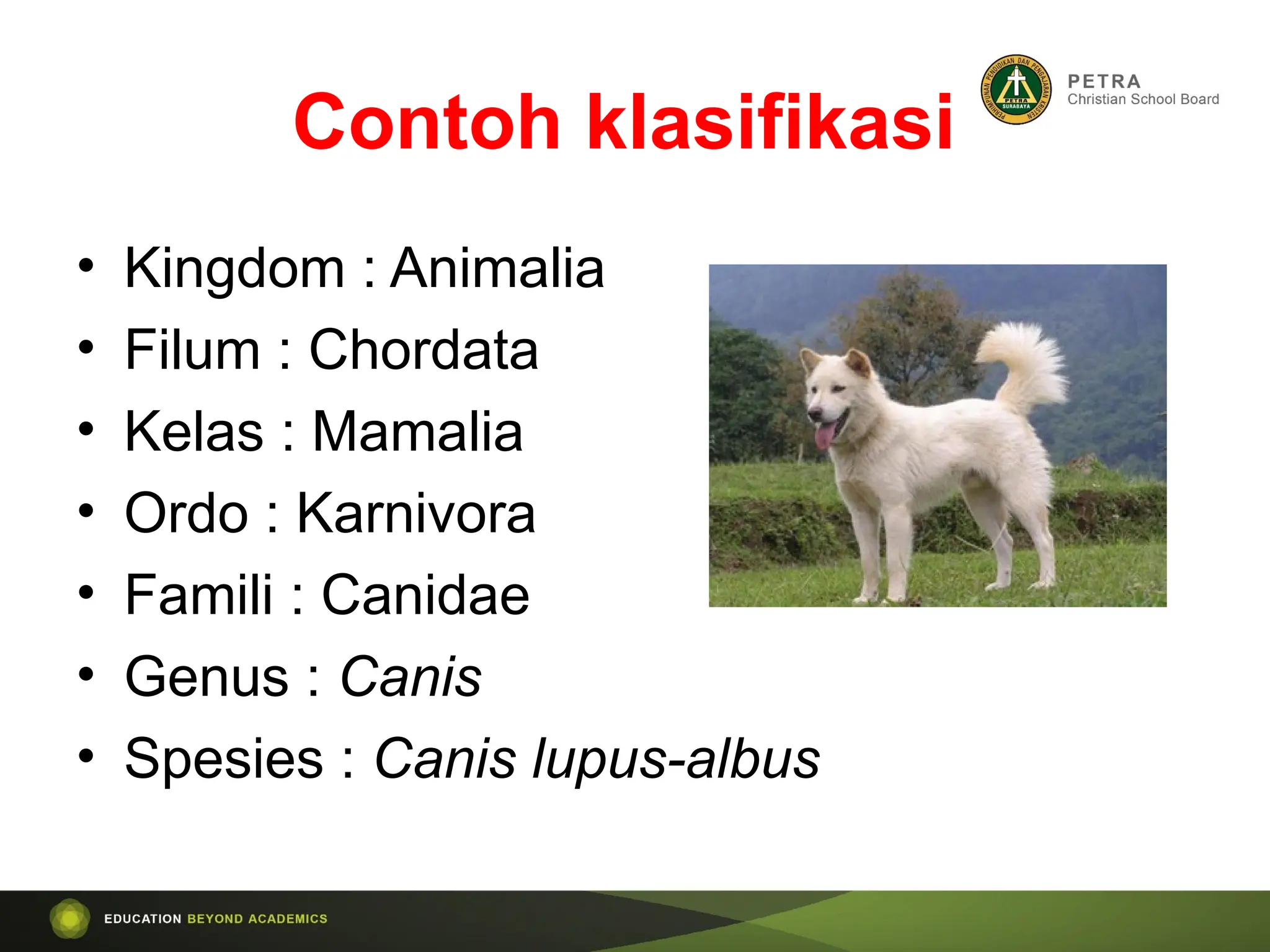 KLASIFIKASI MAKLUK HIDUP ...