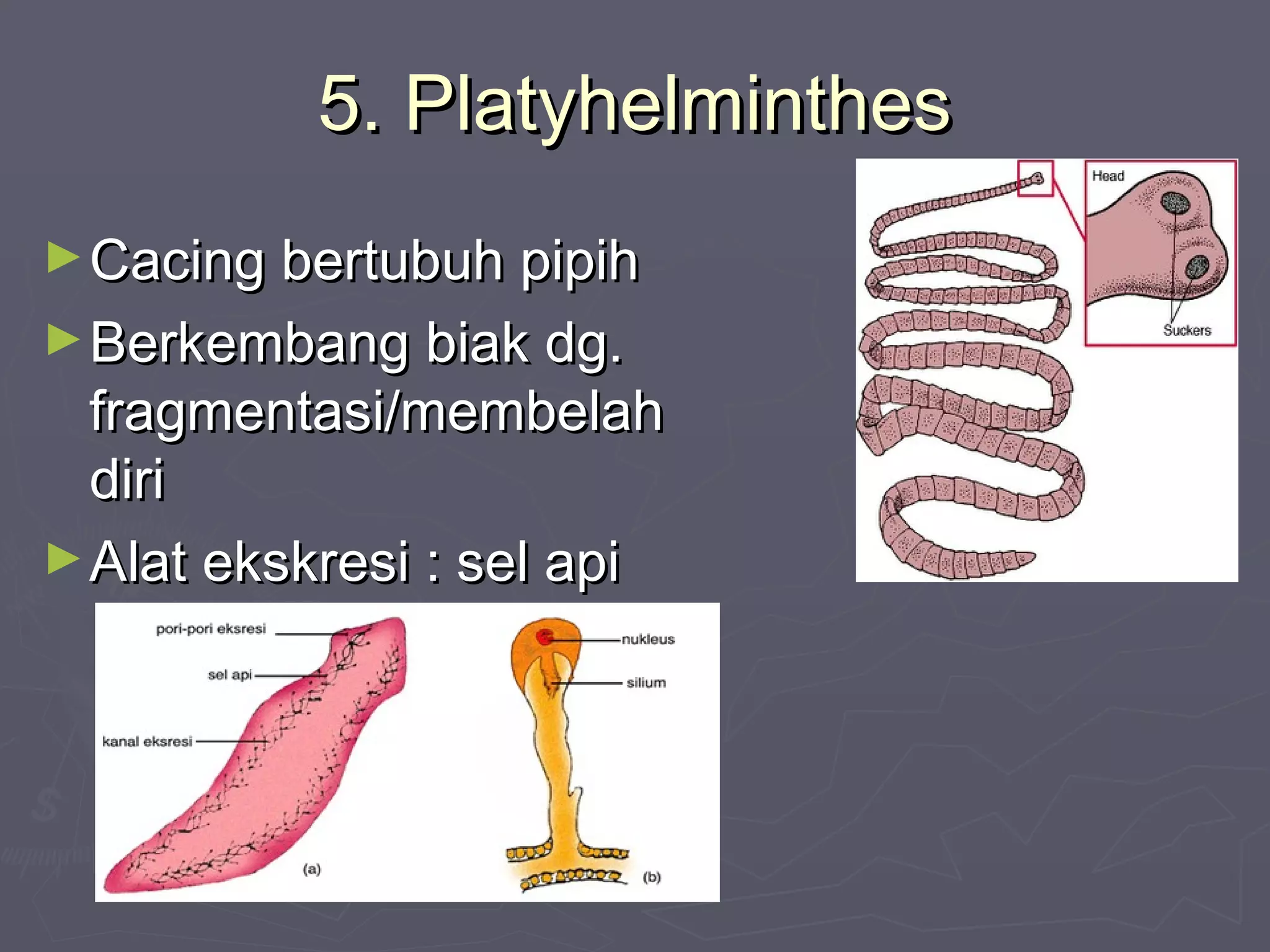 Klasifikasi 2013baru | PPT