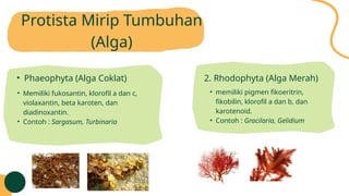 klasifikasi mahluk hidup keals 7 kumer 3.pptx