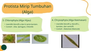 klasifikasi mahluk hidup keals 7 kumer 3.pptx