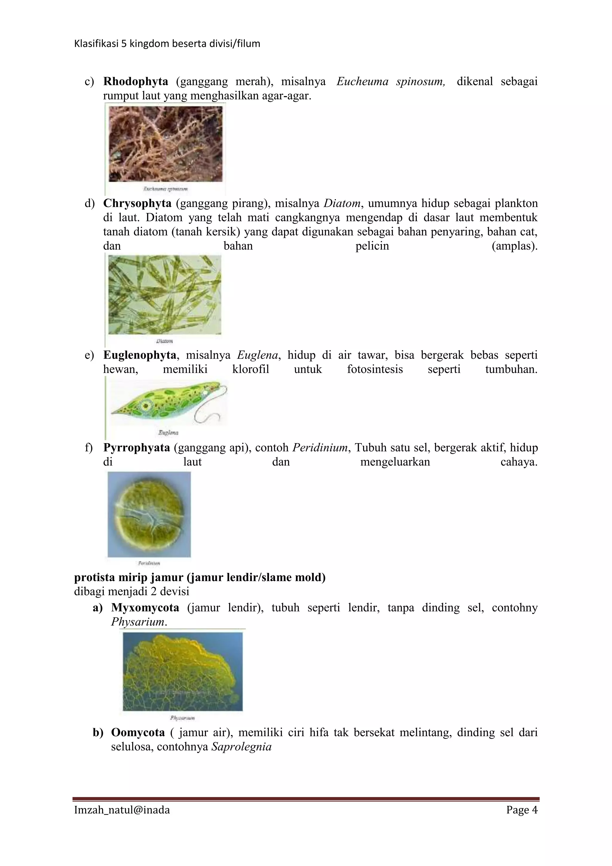 Klasifikasi 5 kingdom | DOCX