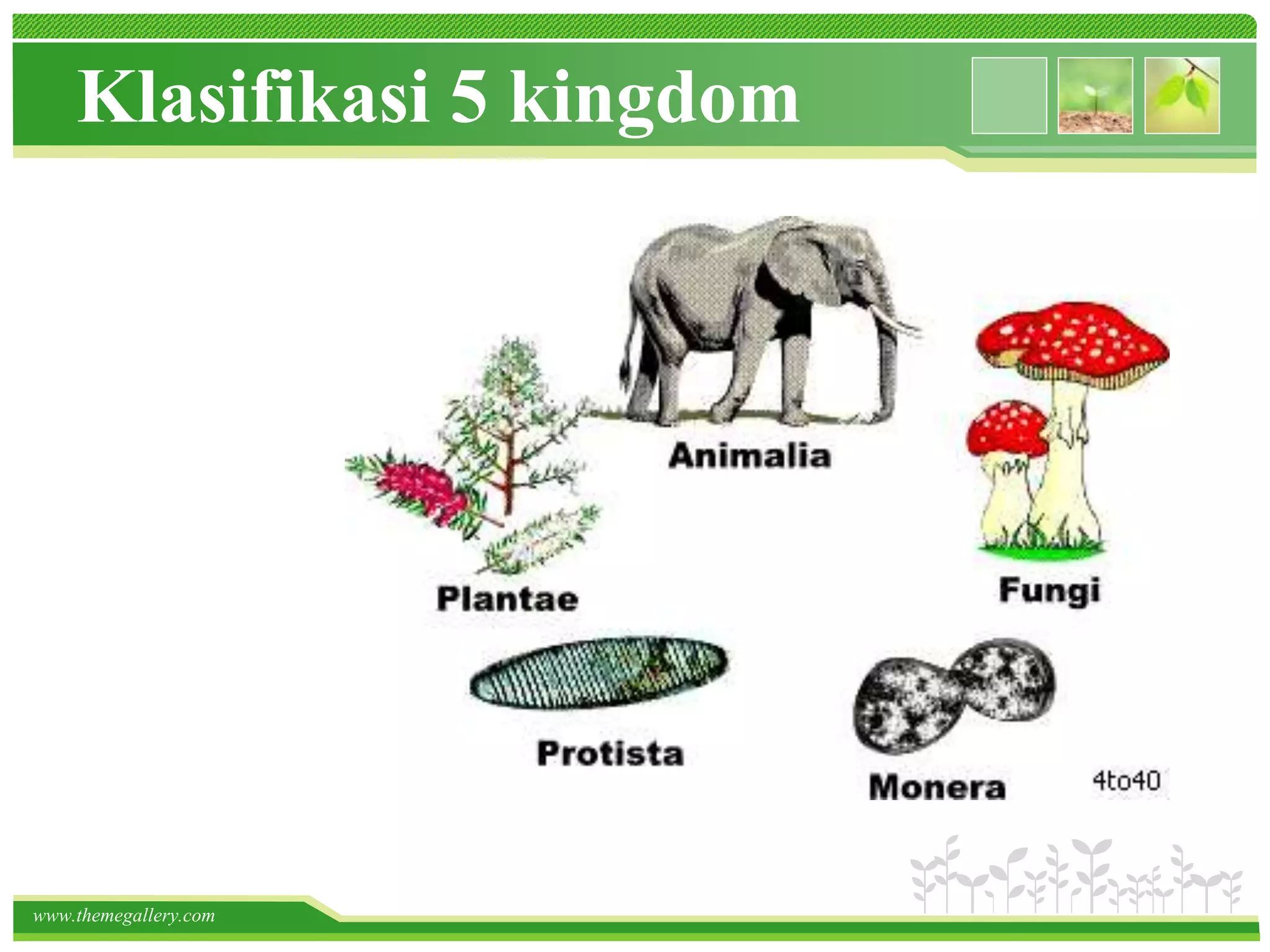 Klasifikasi 5 Kingdomppt 