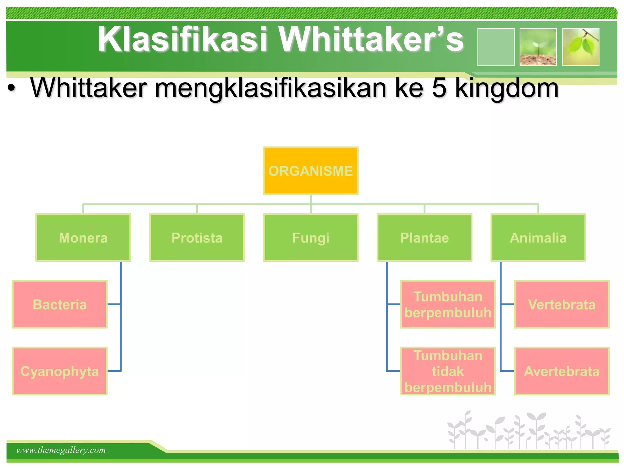 KLASIFIKASI 5 KINGDOM.ppt