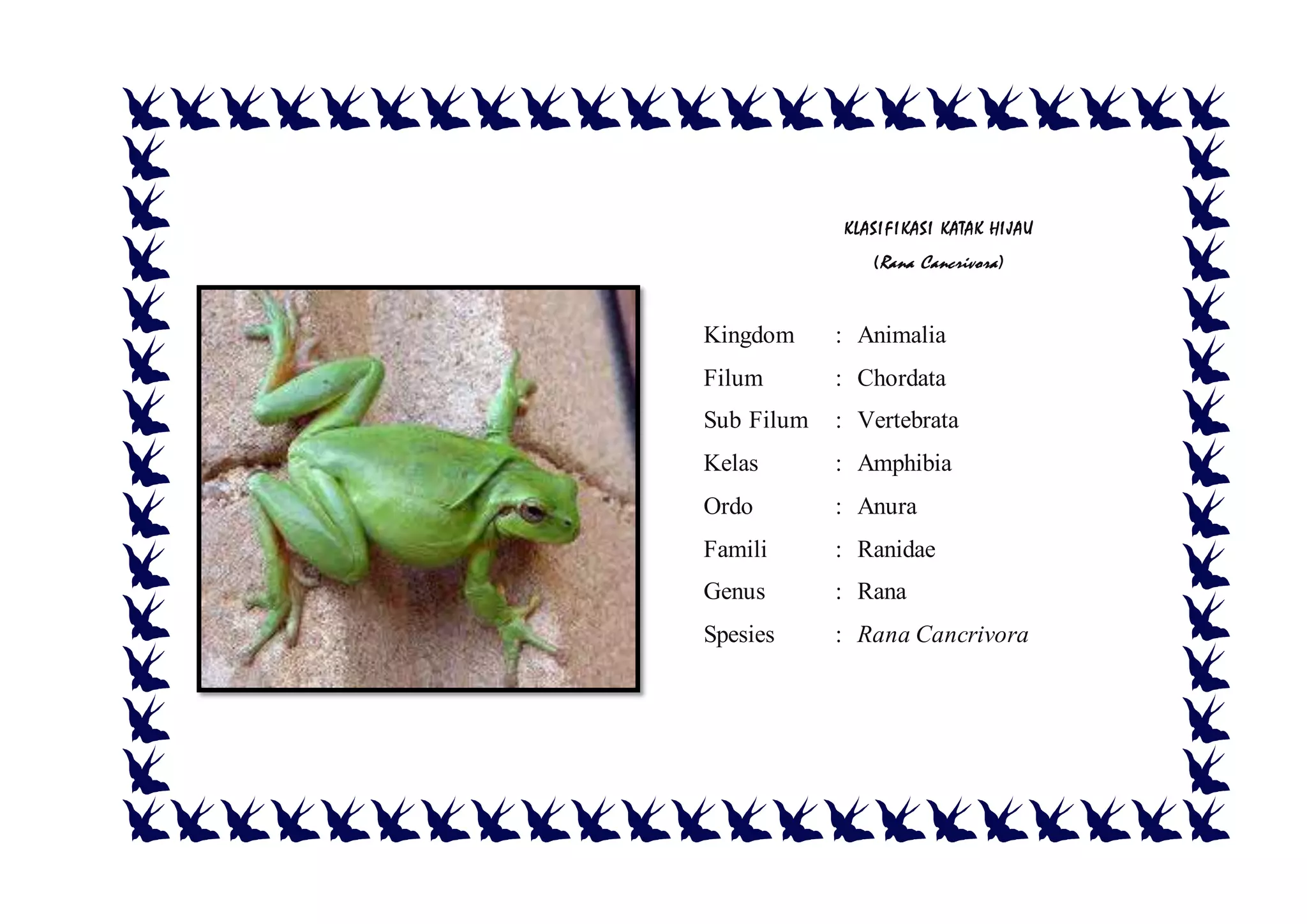 Klasifikasi Animalia | DOCX