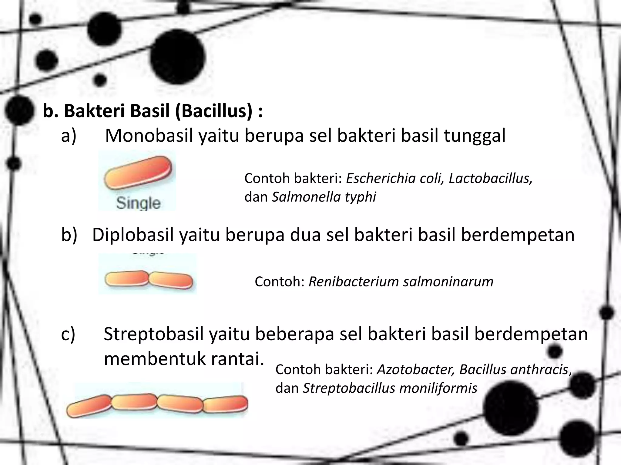 Klasifikasi bakteri | PPTX