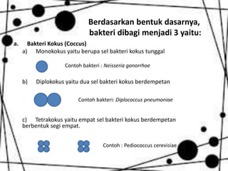 Klasifikasi bakteri | PPTX