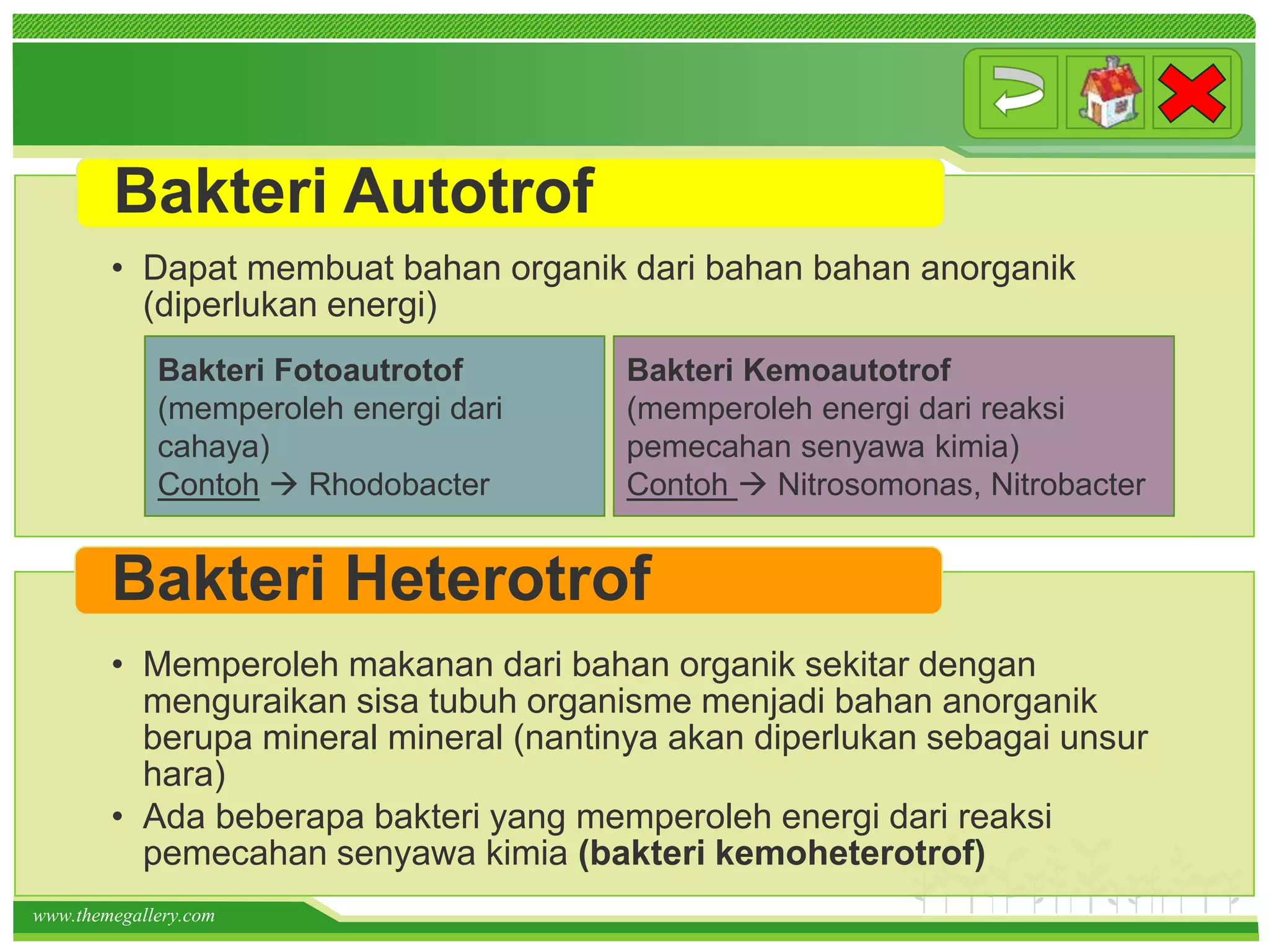 Klasifikasi bakteri | PPTX