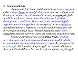 Klasifikasi buah (4) | PPTX