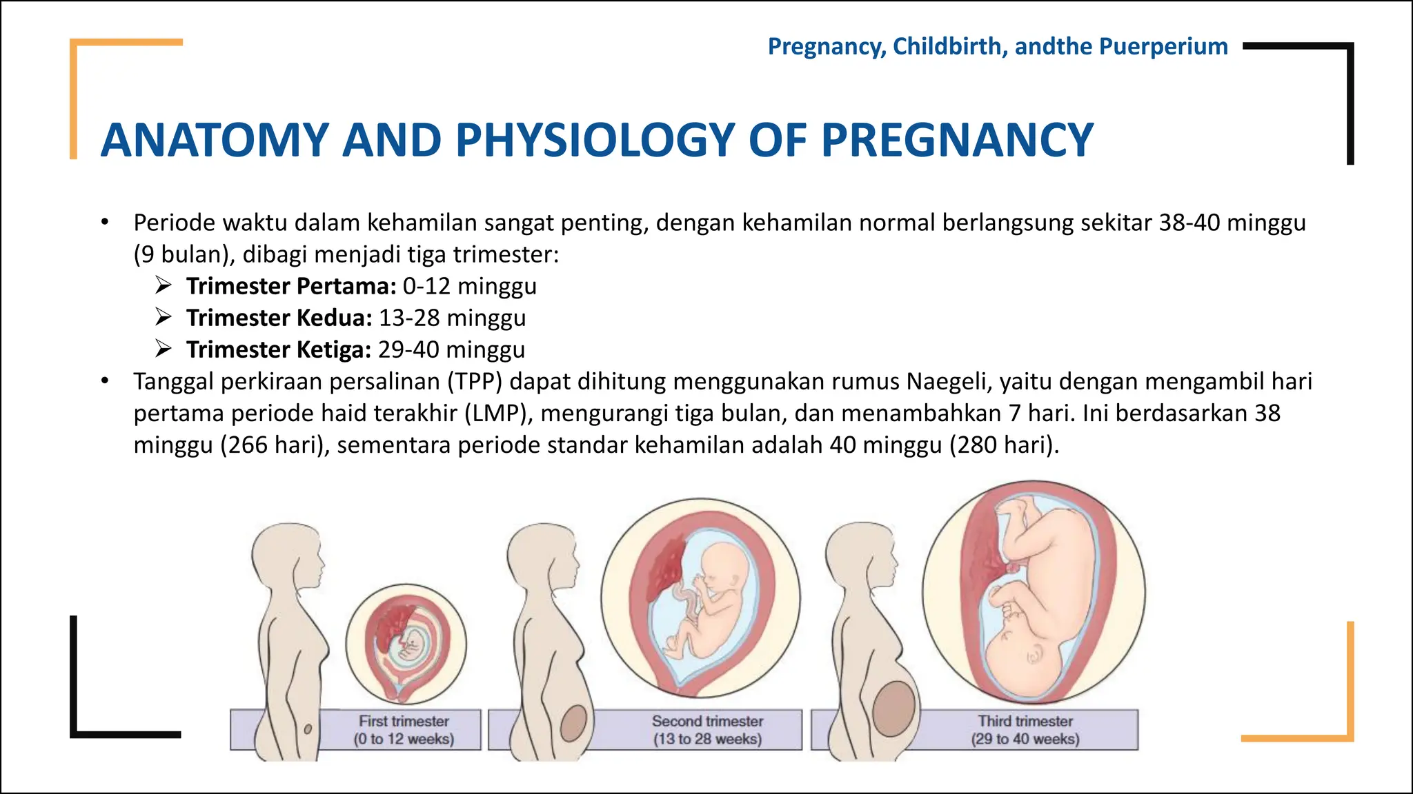 Klasifikasi dan kodefikasi Pregnancy, Childbirth, andthe Puerperium.pdf