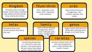 Presentasi Klasifikasi dan Kunci Determinasi.pptx