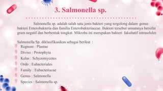 KLASIFIKASI DAN TAKSONOMI BAKTERI (KEL.2).pptx