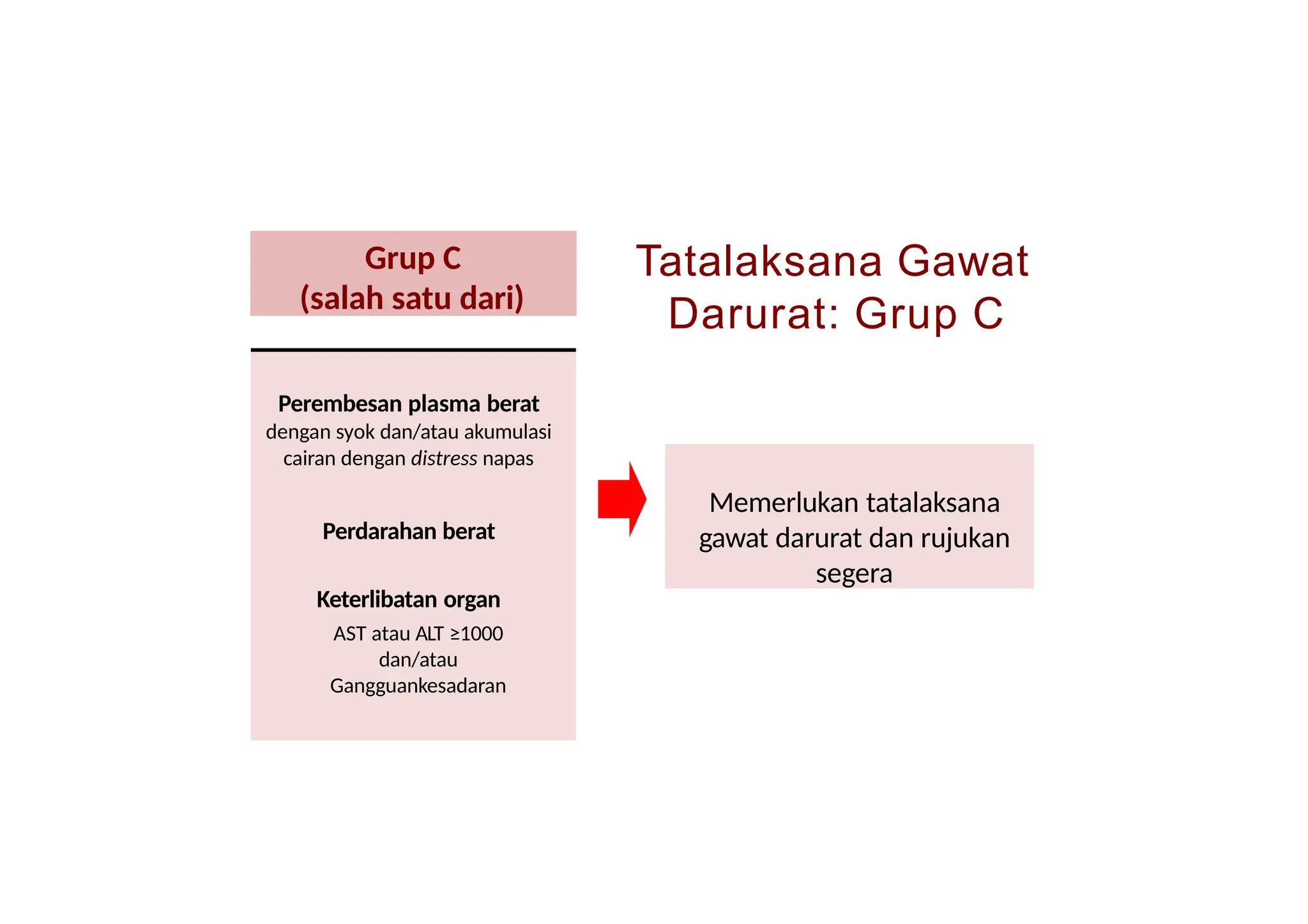 Klasifikasi Dan Tatalaksana Dengue Anak Sesuai PNPK.pptx