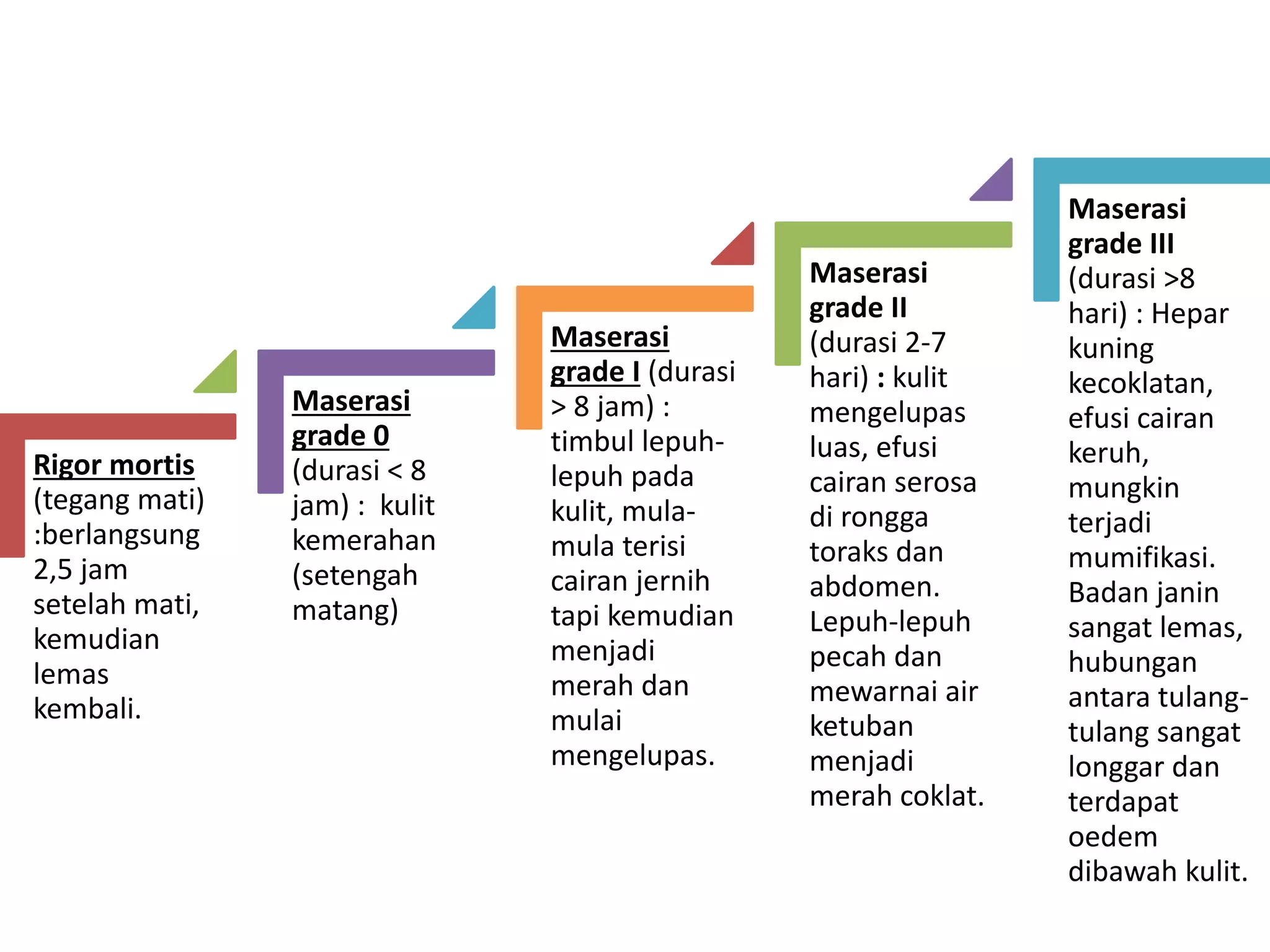 Klasifikasi dan tingkat maserasi | PPTX