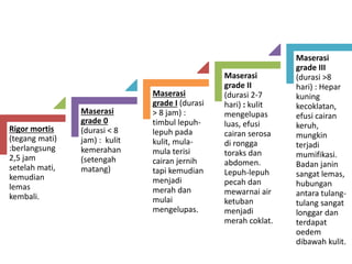 Klasifikasi dan tingkat maserasi | PPTX
