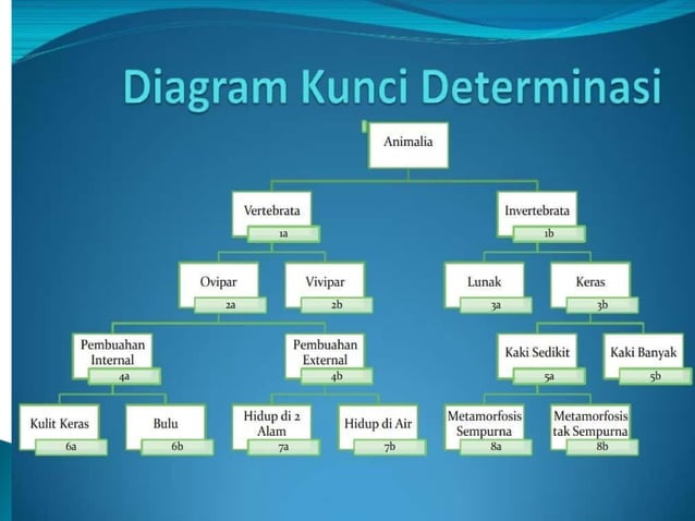 Klasifikasi Dikotom dan Kunci determinasi (1).ppt