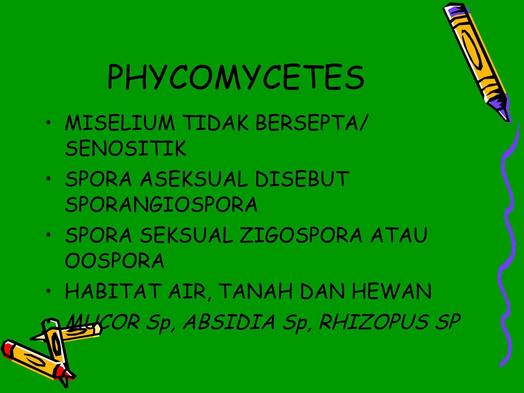 Klasifikasi & ekologi cendawan | PPT