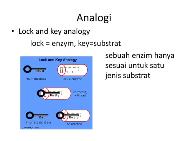 KLASIFIKASI_ENZIM.pptx
