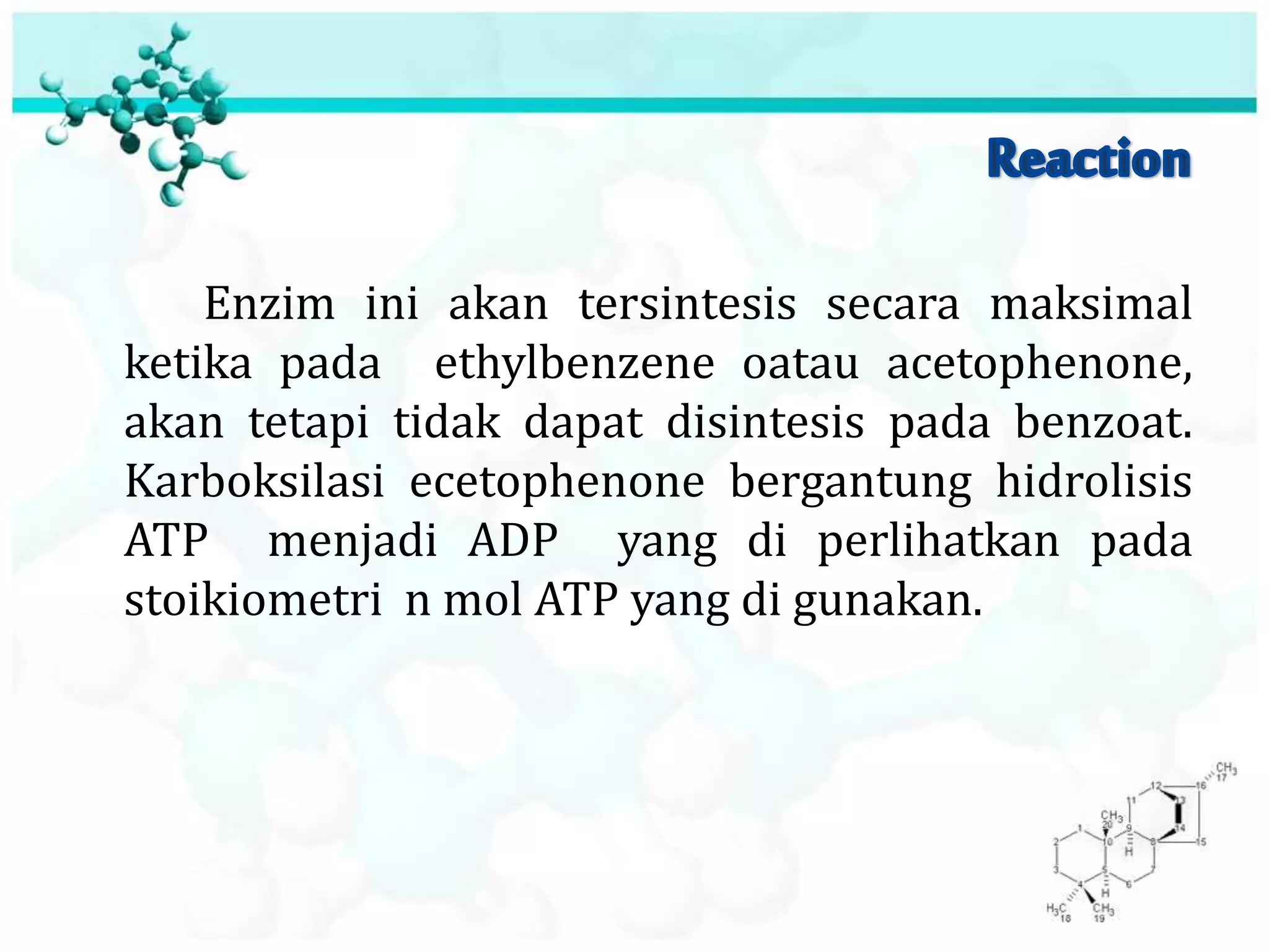 Klasifikasi enzyme | PPTX