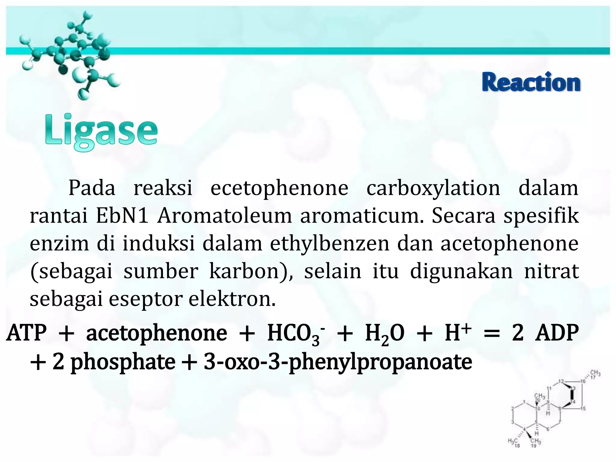 Klasifikasi enzyme | PPTX