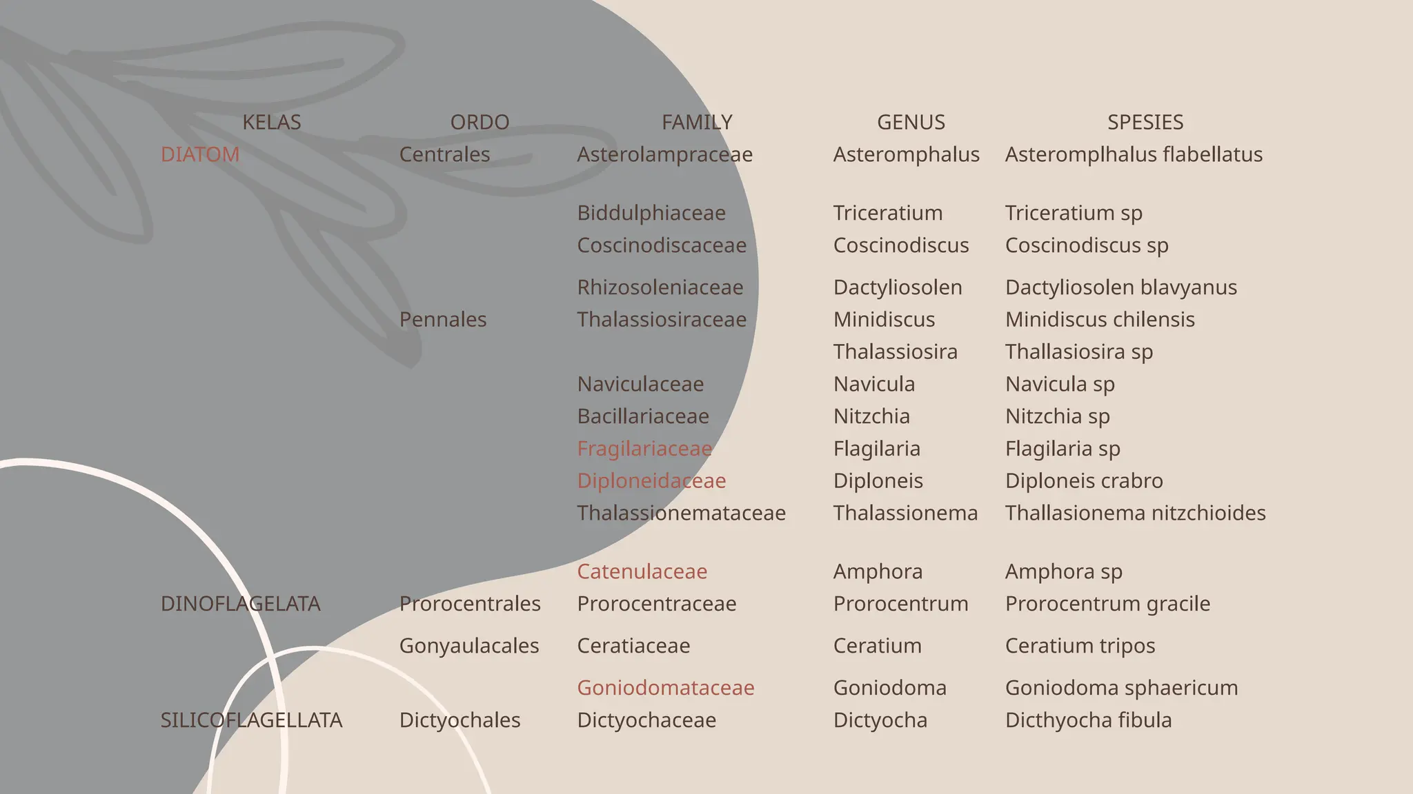 PENGERTIAN SERTA KLASIFIKASI FITOPLANKTON | PPTX