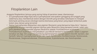 PENGERTIAN SERTA KLASIFIKASI FITOPLANKTON | PPT