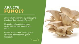 Klasifikasi Fungi Kelas 10.pdf