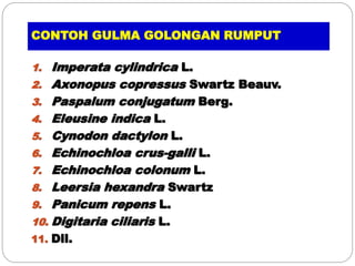 KLASIFIKASI GULMA-1-OKE.pptx