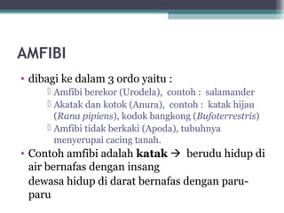 Klasifikasi hewan | PPT