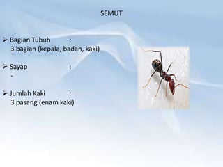 Klasifikasi hewan | PPTX