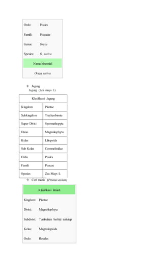 Klasifikas Ilmiah Tumbuhan (Plantae) | DOCX