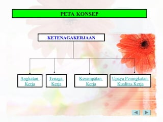 Klasifikasi Ketenagakerjaan kelas XI.ppt