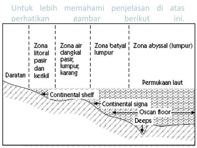 Klasifikasi laut 2 | PPT