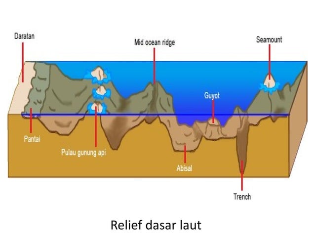 Klasifikasi laut 2 | PPT