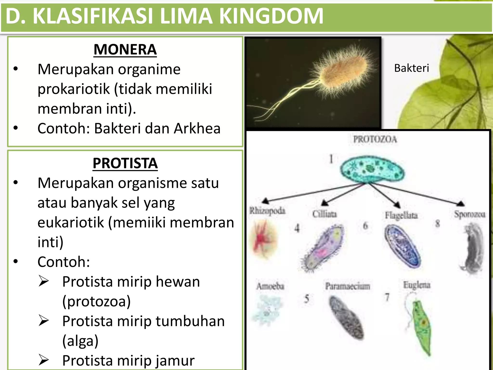 KLASIFIKASI MAHKLUK PPT_X.pptx