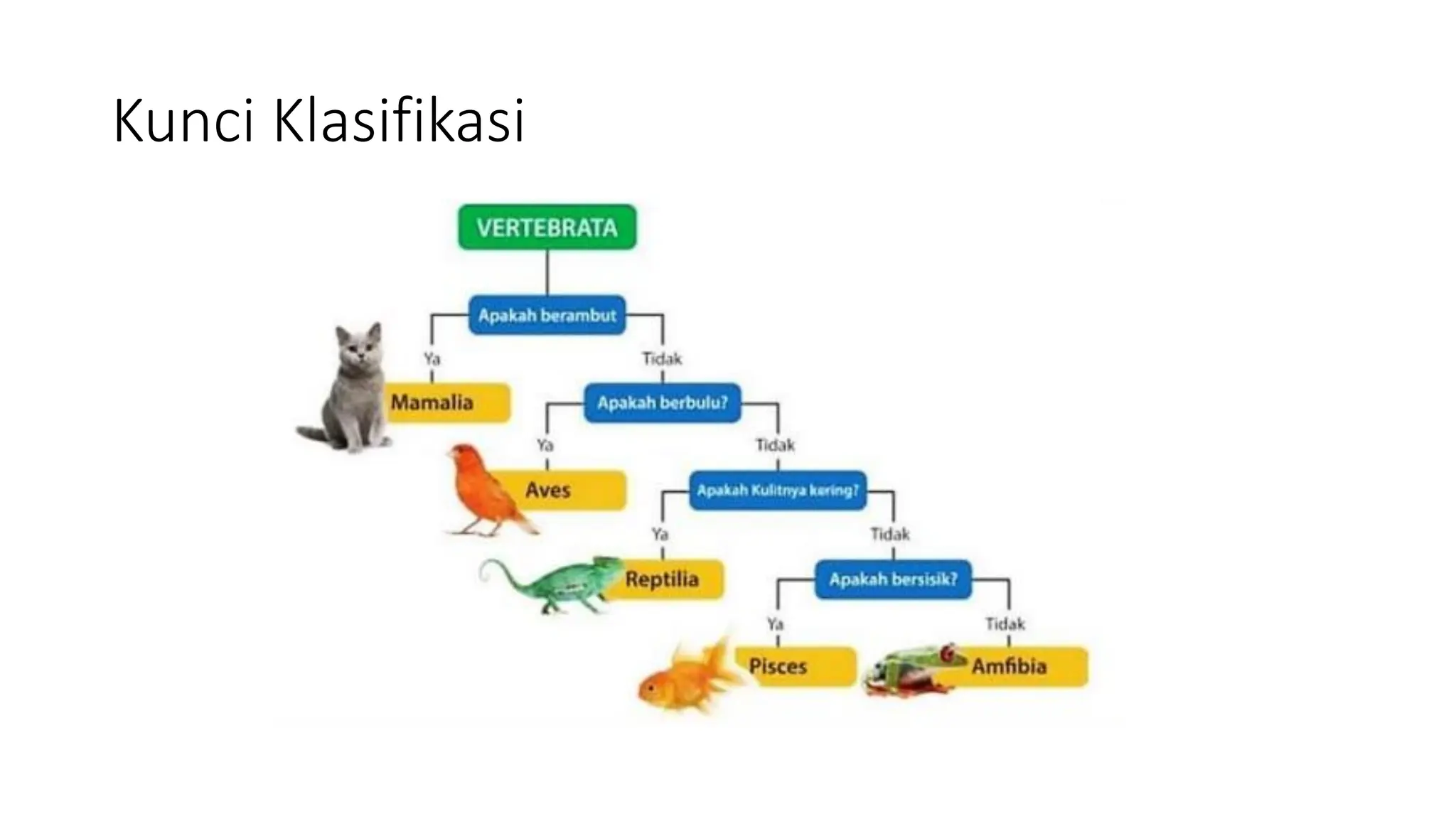 KLASIFIKASI MAHLUK HIDUP Presentasi kelas 10.pdf