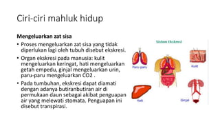 KLASIFIKASI MAHLUK HIDUP Presentasi kelas 10.pdf