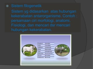 Klasifikasi makhluk hidup | PPTX