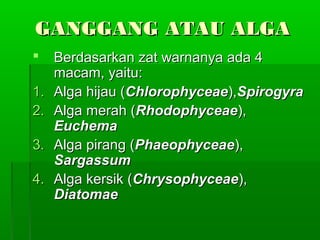 Klasifikasi makhluk hidup | PPT