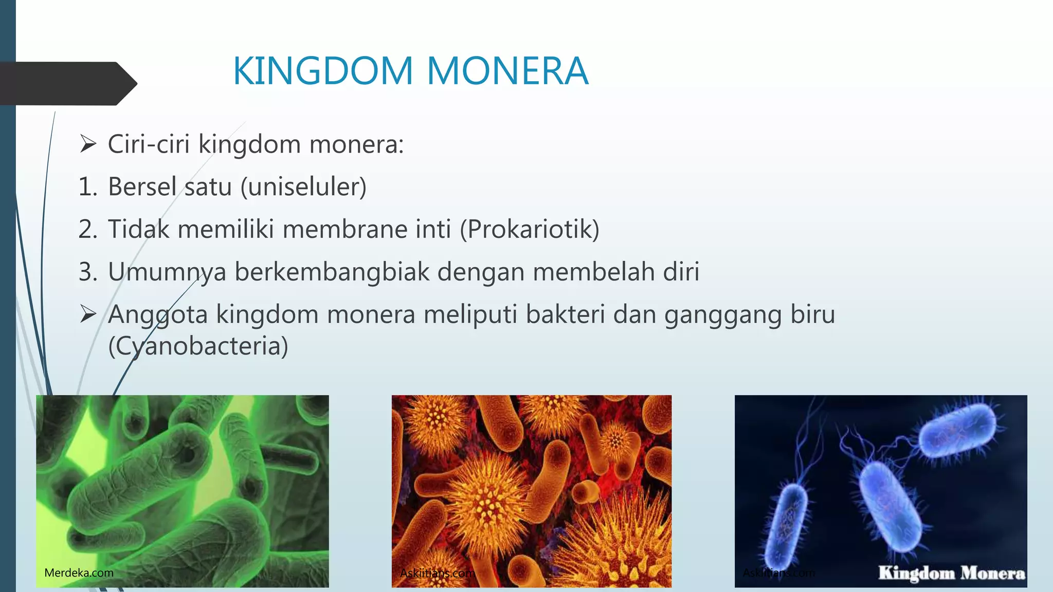Klasifikasi makhluk hidup | PPTX